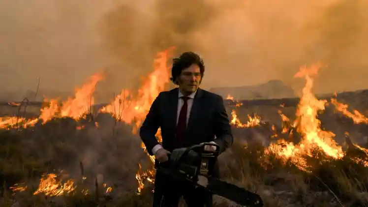 Incendios en la Patagonia: por qué la «motosierra» de Milei convirtió ...